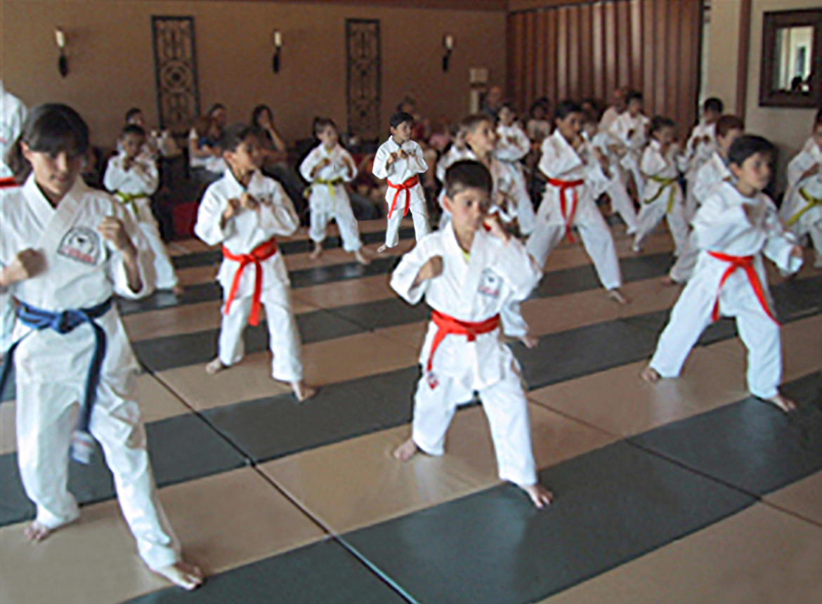 Karate | Zacharatos - KARATE, KICKBOXING / MMA, & SOCCER